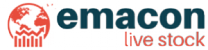 Jobs and Careers at EMACON, Egypt | WUZZUF