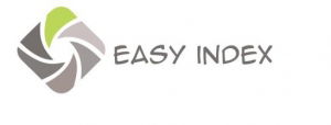 Jobs and Careers at Easy Index, Egypt | WUZZUF