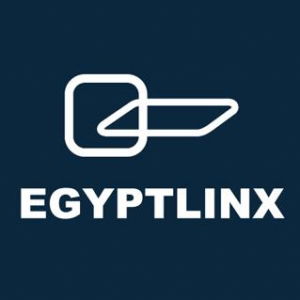 Jobs and Careers at Egypt Linx, Egypt | WUZZUF