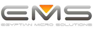 Jobs and Careers at Egyptian Micro Solutions, Egypt | WUZZUF