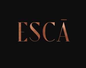 Jobs and Careers at Esca, Egypt | WUZZUF