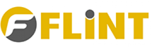 Jobs and Careers at Flint , Saudi Arabia | WUZZUF
