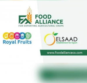Jobs and Careers at Food Alliance in Egypt – Join Us Today!