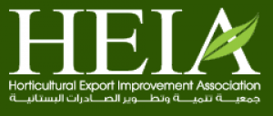 Jobs and Careers at HEIA in Egypt – Join Us Today!