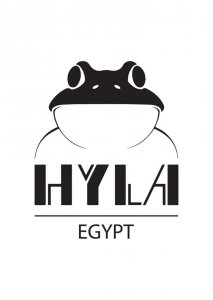 Jobs and Careers at HYLA, Egypt | WUZZUF