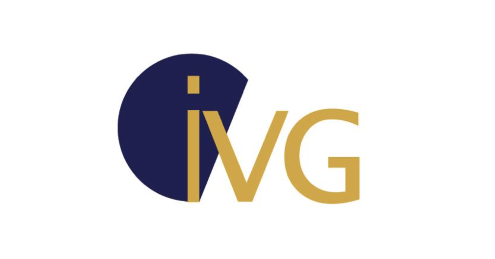 Jobs and Careers at Insightful Vision Group in Egypt | join today!