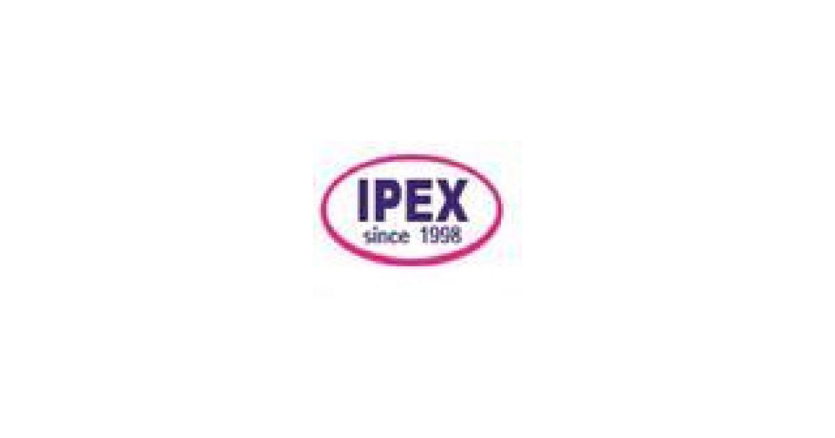 Jobs and Careers at Ipex for trading, Egypt | WUZZUF