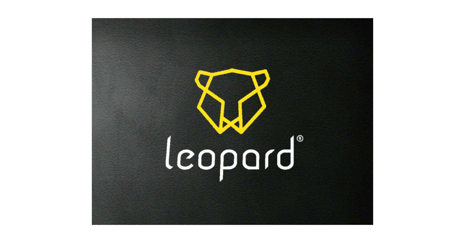 Jobs and Careers at Leopard in Egypt – Join Us Today!