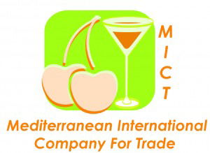 Jobs and Careers at MICT in Egypt – Join Us Today!