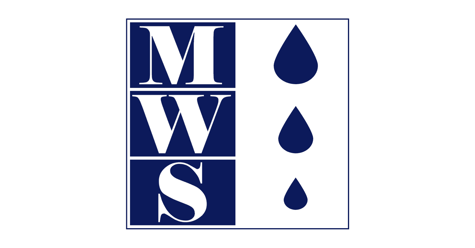 Jobs and Careers at MWS in Egypt – Join Us Today!