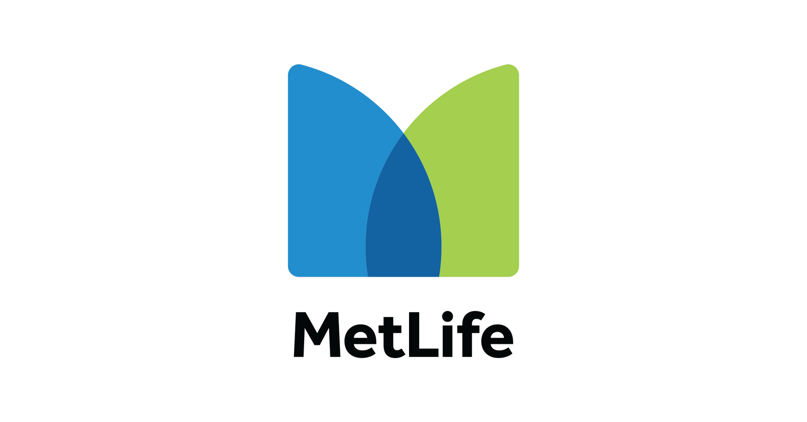 Jobs and Careers at MetLife in Egypt – Join Us Today!