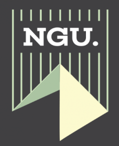 Jobs and Careers at Newgiza University - NGU in Egypt – Join Us Today!