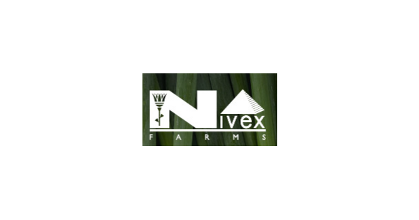 Jobs and Careers at Nivex in Egypt – Join Us Today!