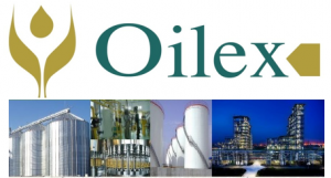 Jobs and Careers at Oilex in Egypt – Join Us Today!
