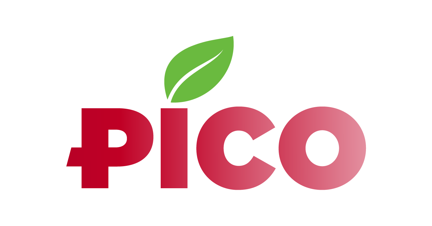 Jobs and Careers at PICO in Egypt | join today!
