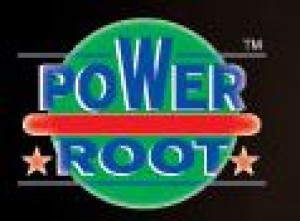 Jobs and Careers at Power Root, United Arab Emirates | WUZZUF