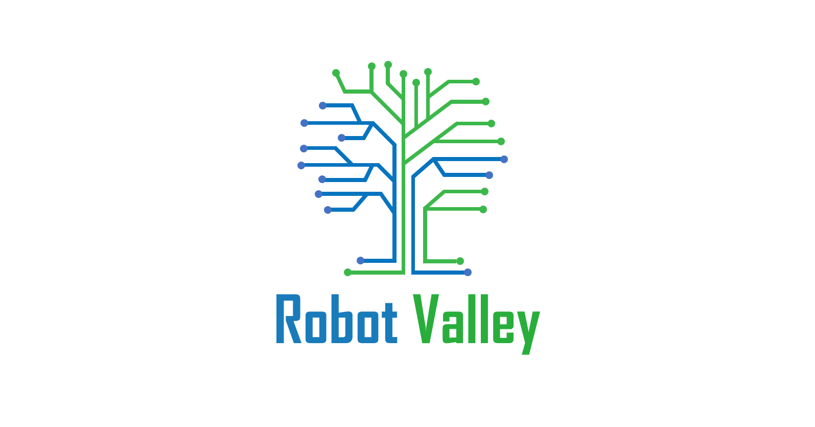Jobs and Careers at Robot Valley in Egypt | join today!