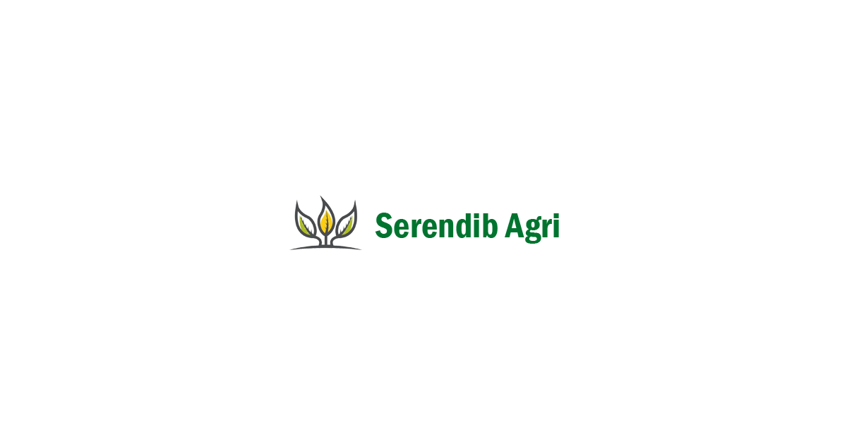Jobs and Careers at Serendib Food Industries in Egypt – Join Us Today!