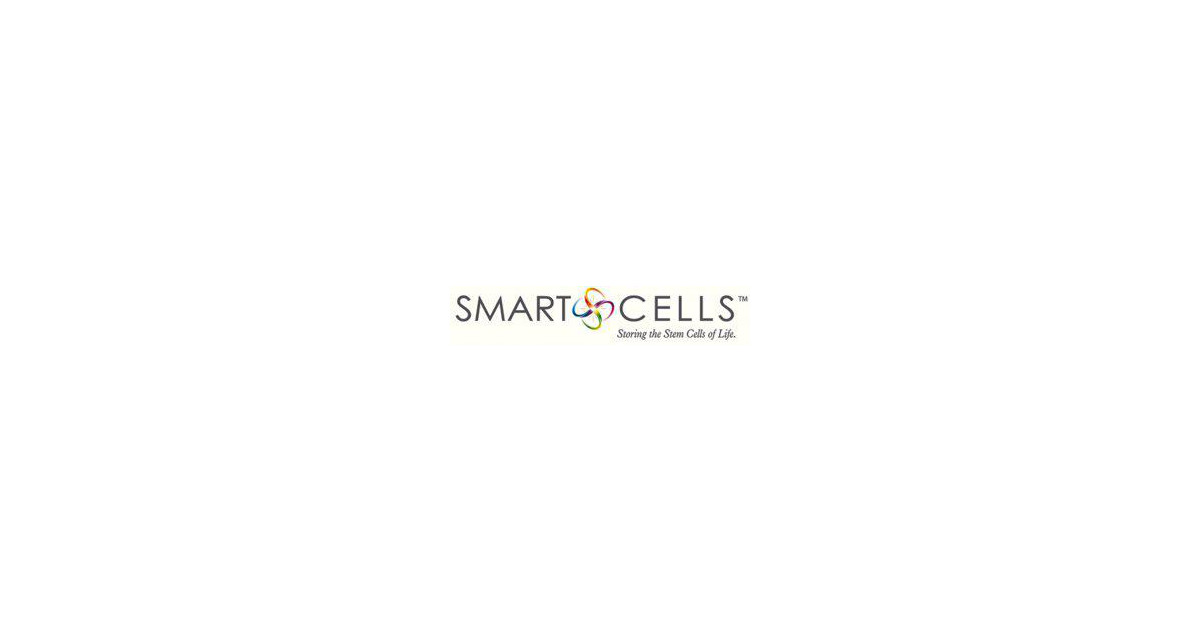 Jobs and Careers at Smart Cells, Egypt | WUZZUF