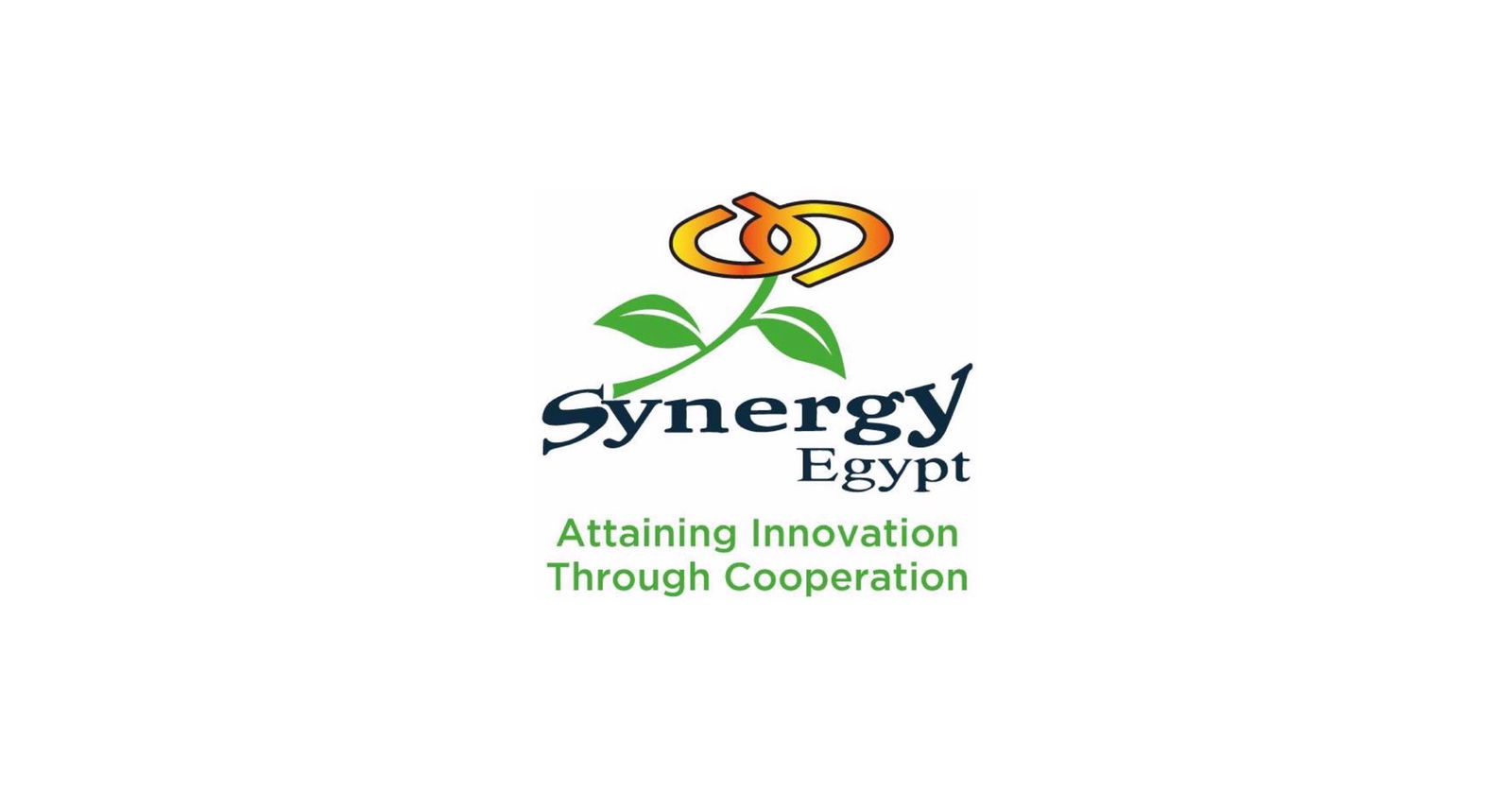 Jobs and Careers at Synergy Egypt in Egypt – Join Us Today!