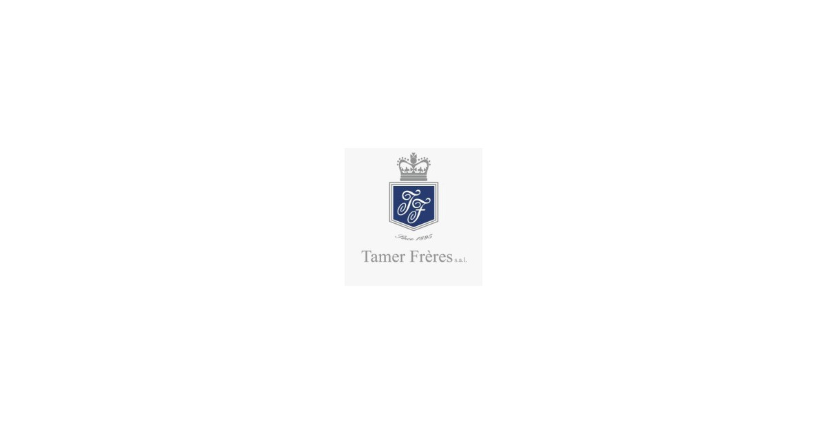 Jobs and Careers at Tamer Group, Lebanon | WUZZUF