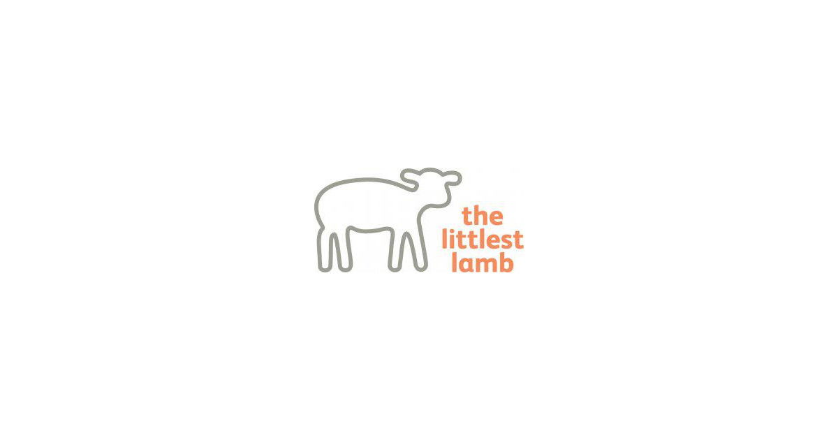 Jobs and Careers at The Littlest Lamb, Egypt | WUZZUF