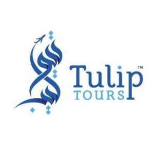 Jobs and Careers at Tulip in Egypt – Join Us Today!