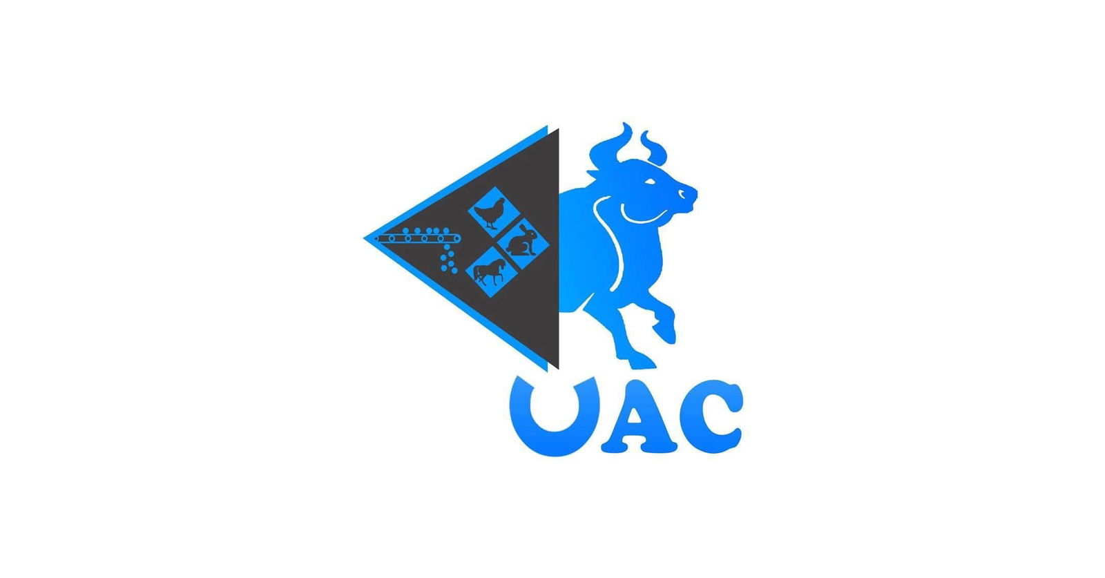 Jobs and Careers at UAC in Egypt – Join Us Today!