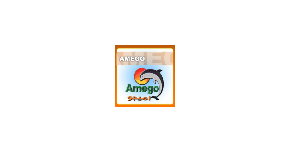Jobs and Careers at Amego in Egypt – Join Us Today!