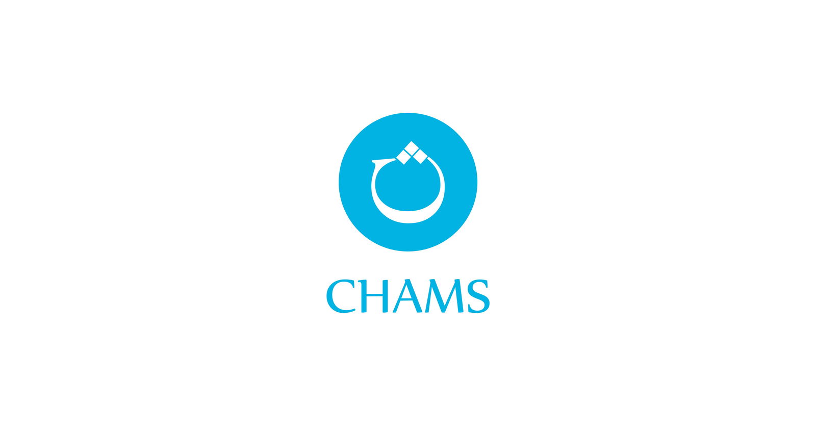 Jobs and Careers at chams co for touristic establishments in Egypt ...