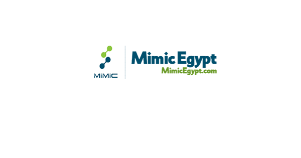 Jobs and Careers at mimic in Egypt | join today!