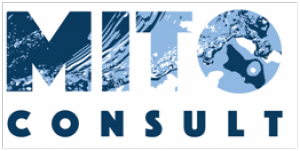 Jobs and Careers at Mito Consult in Egypt – Join Us Today!