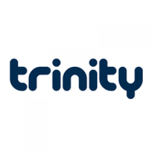 Jobs and Careers at trinity, India | WUZZUF