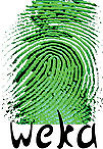 Jobs and Careers at Weka Marketing Group, United States | WUZZUF