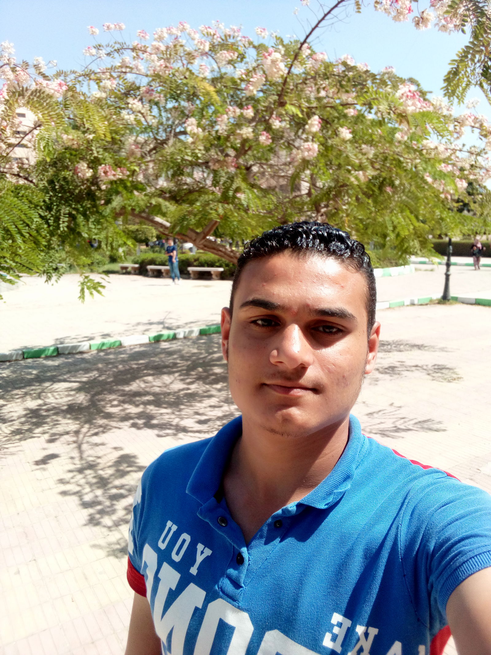 Abdullah Ahmed’s Professional Profile on WUZZUF