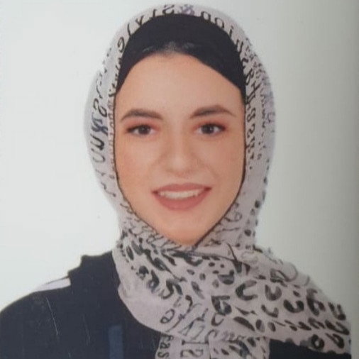 Maryam El-Laboudy – Network Engineer | Wuzzuf