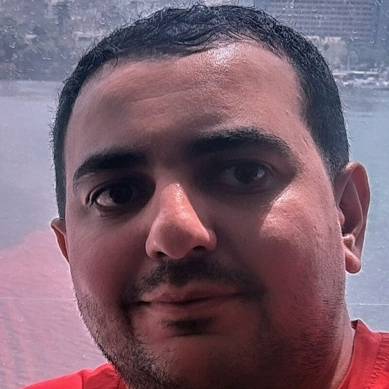 Abdullah Al-Azhary – Teamleader at Julfar Engineering Services, Egypt ...
