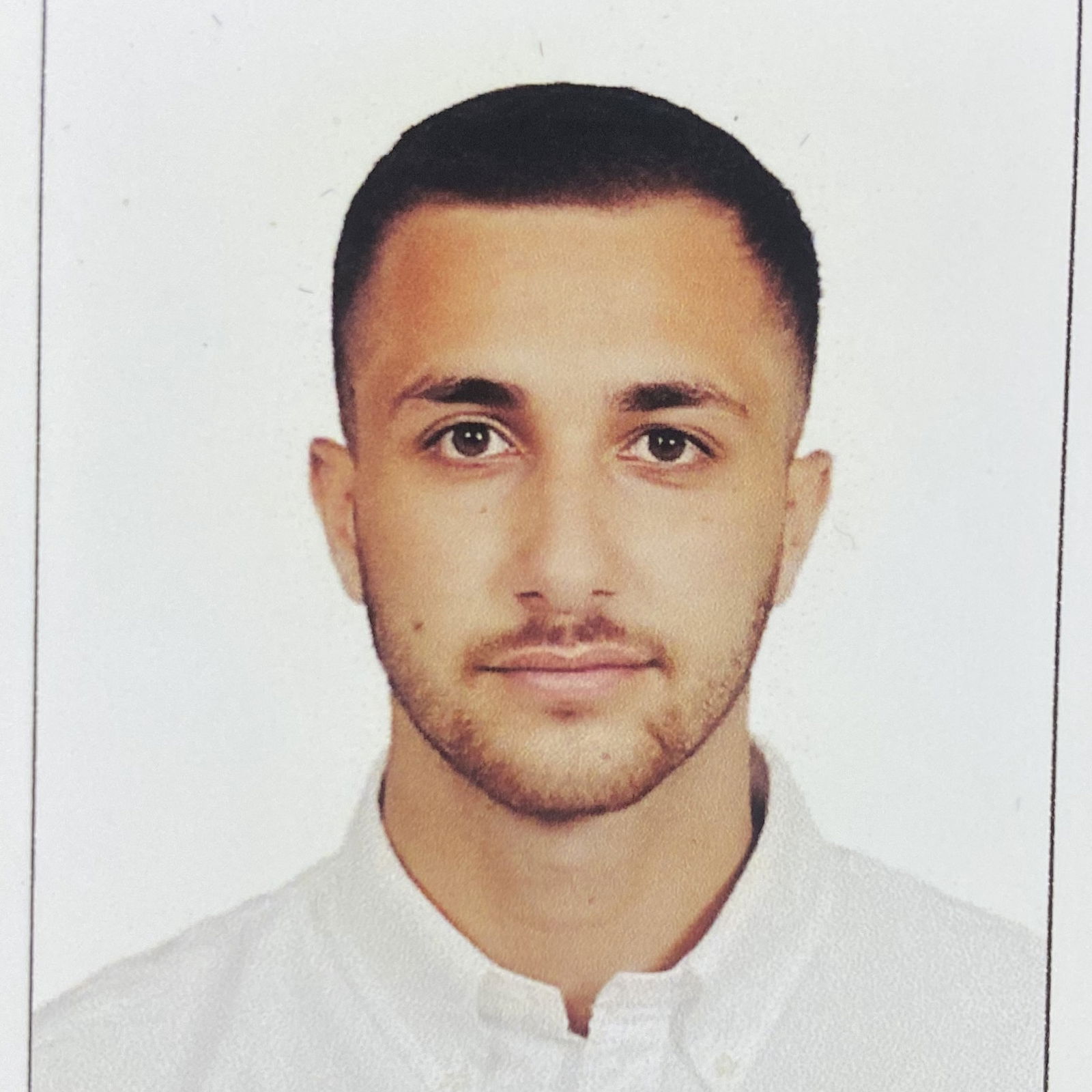 Michel Kerolos – Automotive engineer intern | Wuzzuf