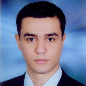 Ahmed Mohsen – Data Entry / Content Editor / Web Developer at Free Lancer, Egypt | Profile