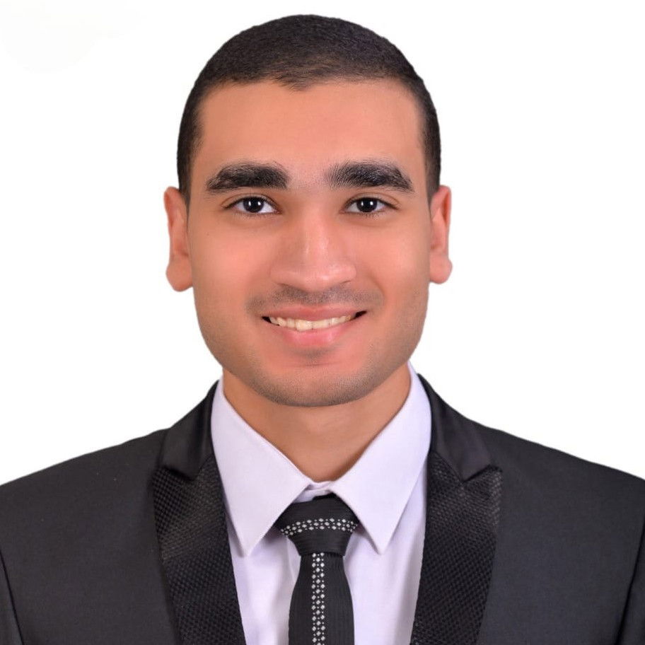 Mohamed Salah Engineer at Bms Egypt | WUZZUF