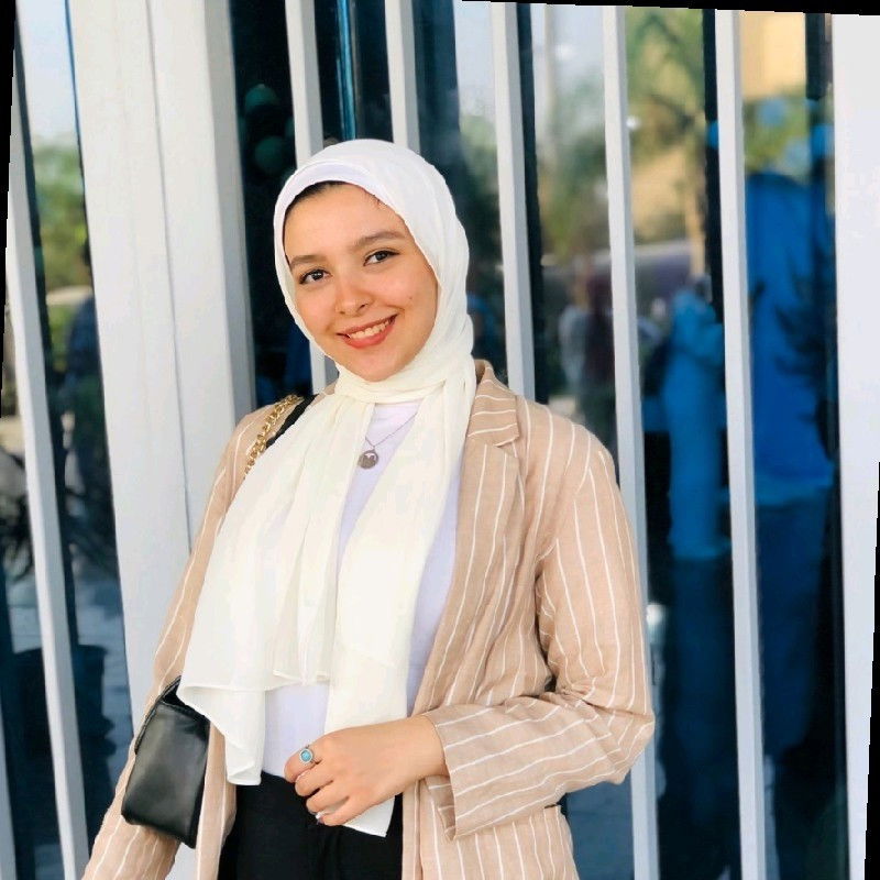 Hager Essam Data Engineer at Ibn Sina Pharma | WUZZUF