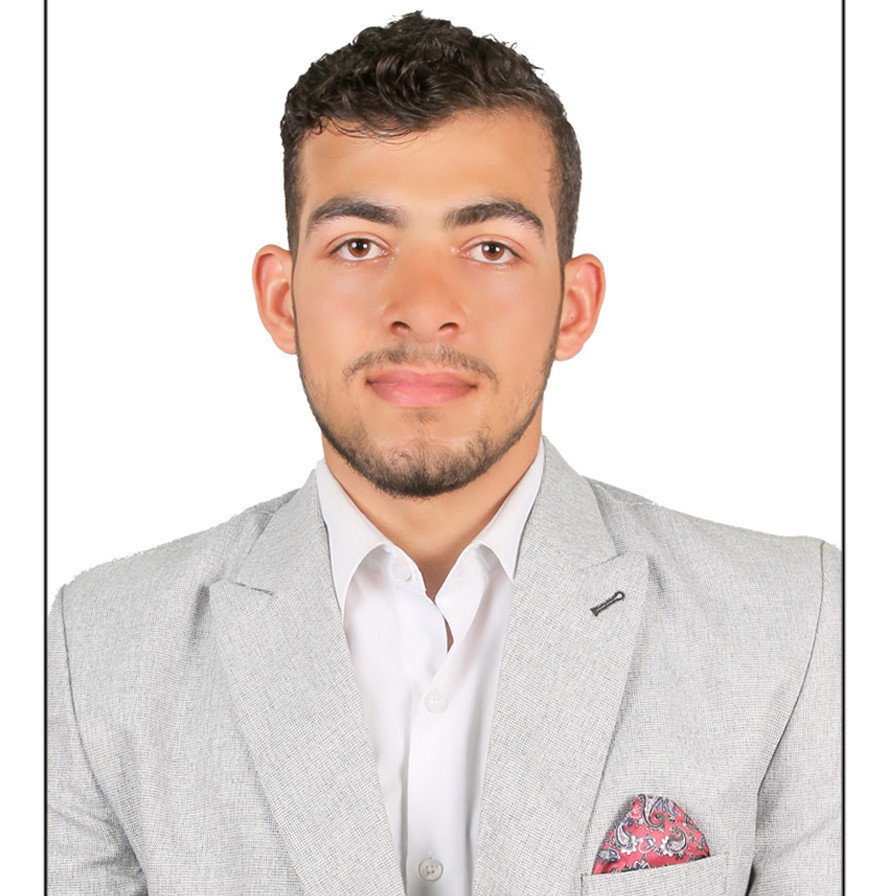 Abdullah Badr’s Professional Profile on WUZZUF