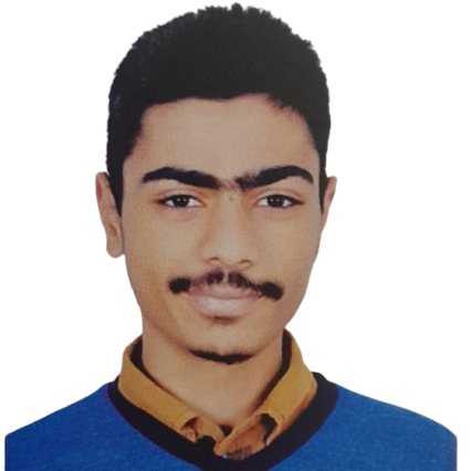 Seif Eldin Elsayed Elfeshawy’s Professional Profile on WUZZUF