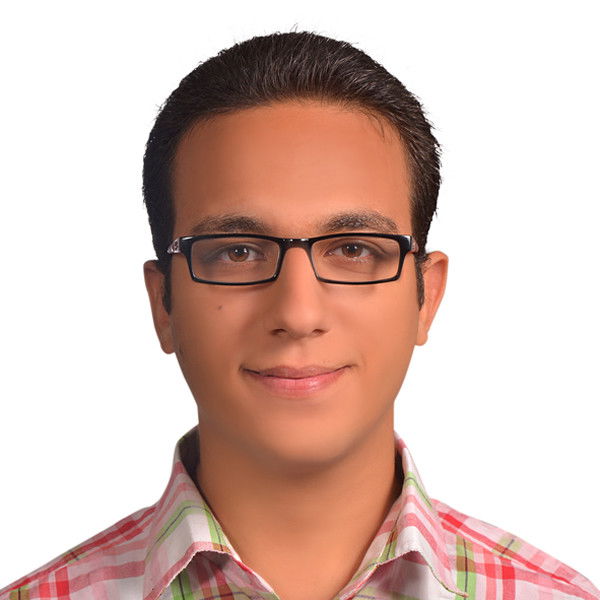 Hany Shehata Projects Engineer at Egyptian national railway | WUZZUF